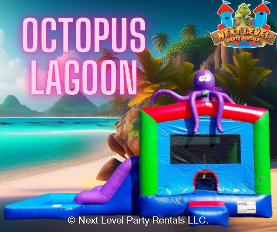 Octopus Bounce with Water Slide *can also be used dry - Bounce House ...
